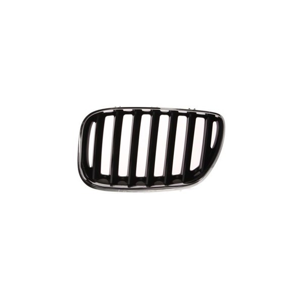 Kylargrill, Vänster - BMW X5 [E53] - OE 51137113733